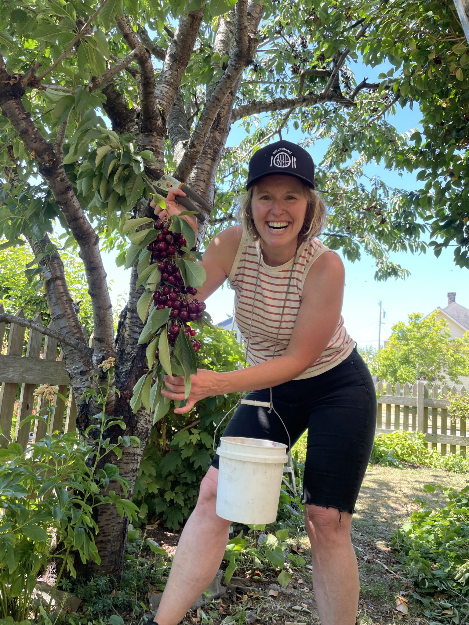 Gleaning - Bellingham Food Bank