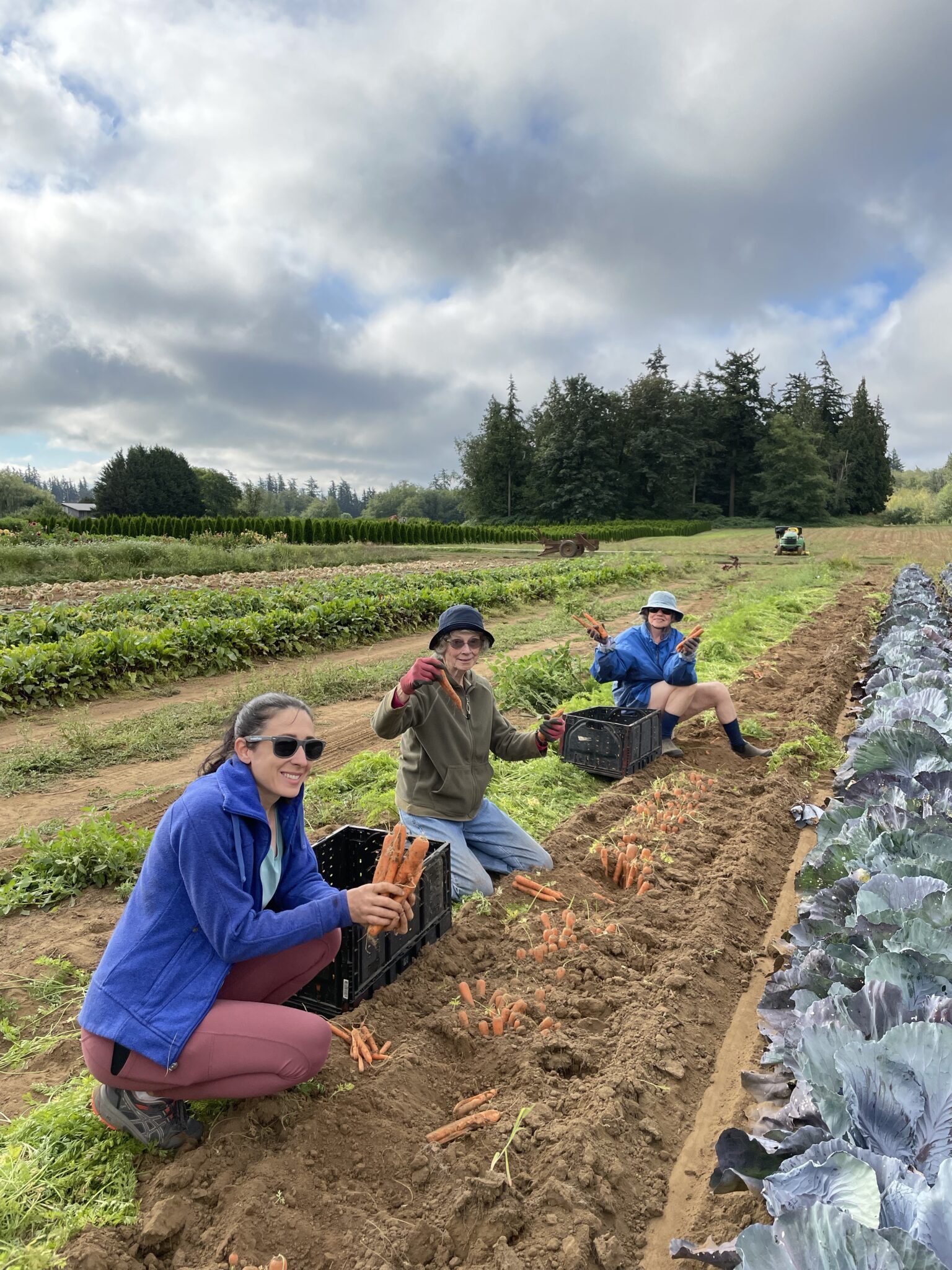 Gleaning Opportunities - Bellingham Food Bank